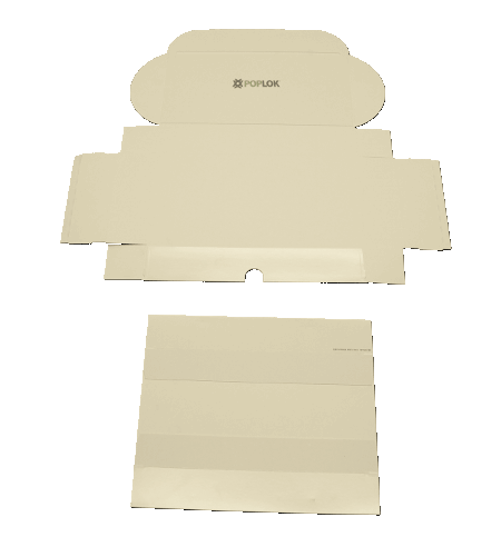 Carton-tray-with-insert - EndFlex