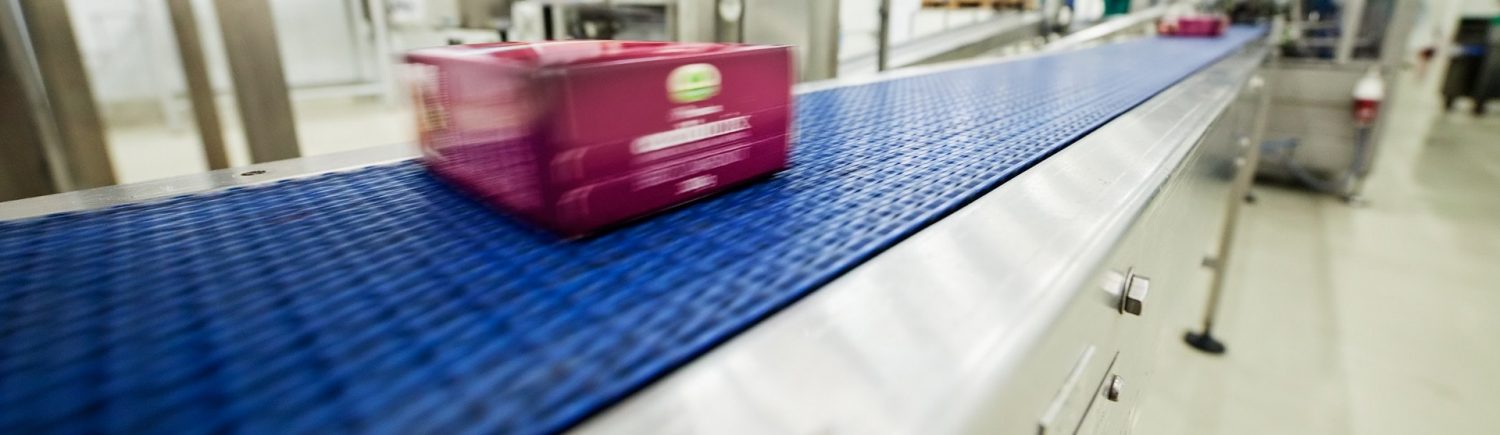 EndFlex Vassoyo glue case erecting machines - EndFlex