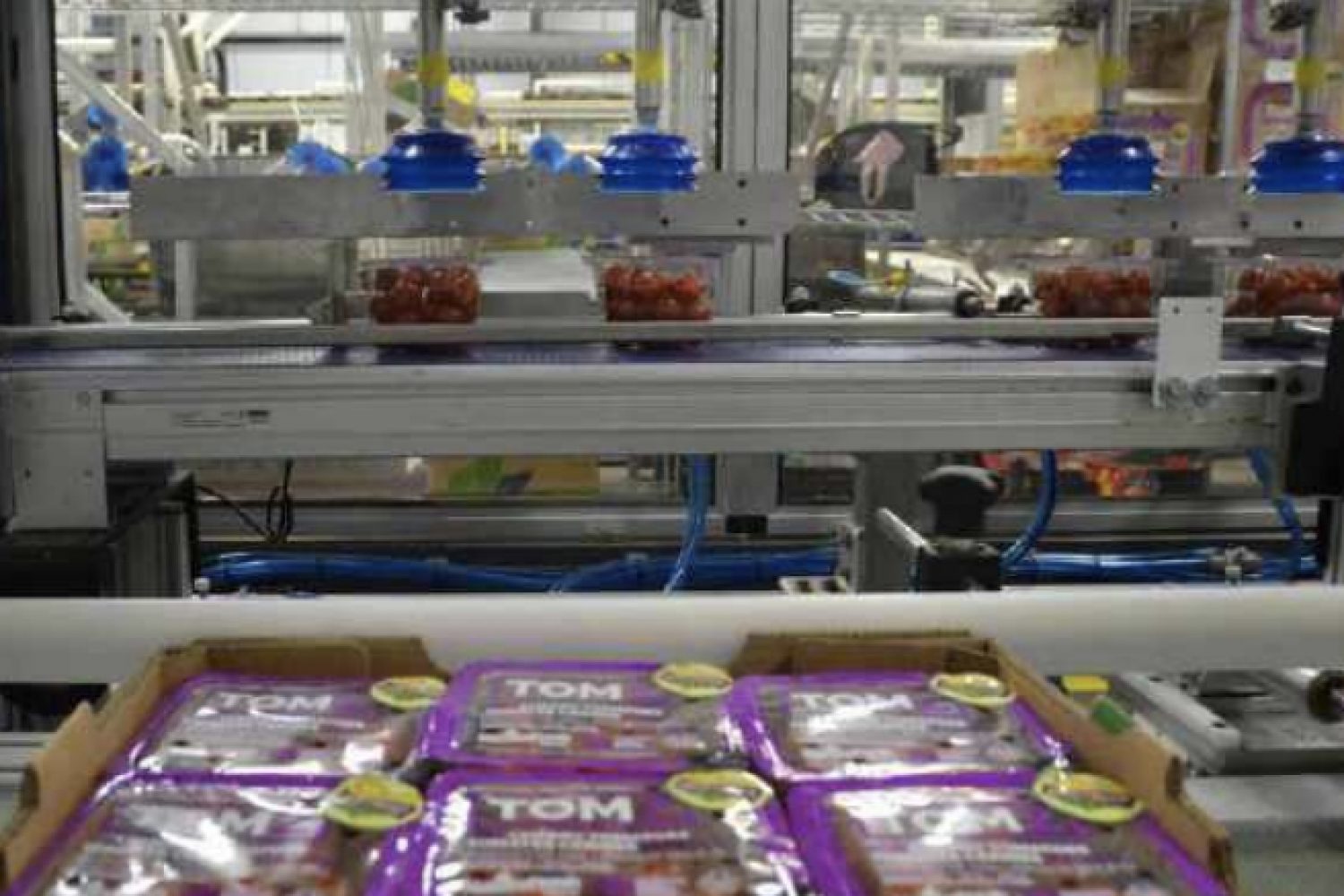 EndFlex | Secondary & End of Line Packaging Machinery