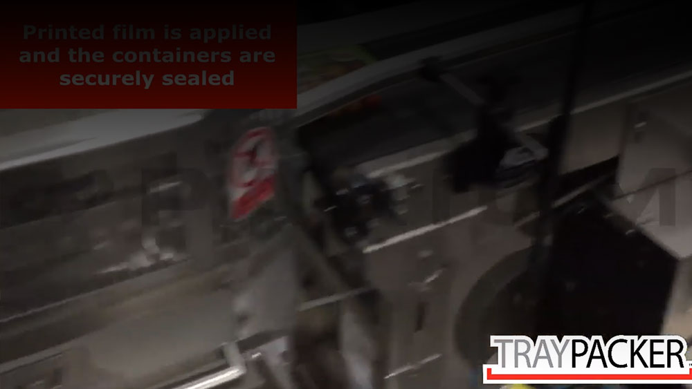 Complete System for Produce Tray Packing with Pick and Place - EndFlex