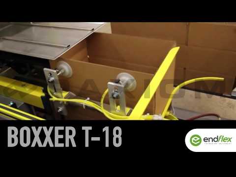 Boxxer T-18 case erector with tape for up to 18 cases per minute - EndFlex