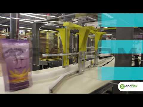 Automatic Case Packer - Bag Filling, Sealing, Loading & Palletizing ...