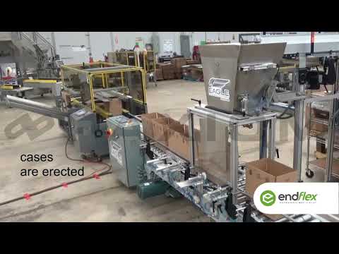 BoxxPak loose filling bags into cases - EndFlex