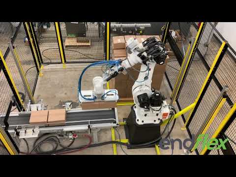 Z Zag Palletizer with BoxxPak - EndFlex