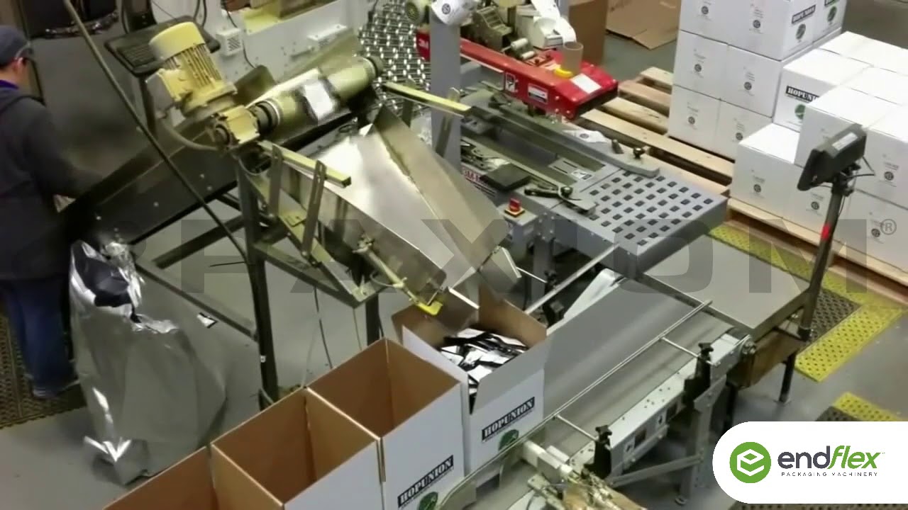 Automatic Case Packer - A Complete System for Beer Hops