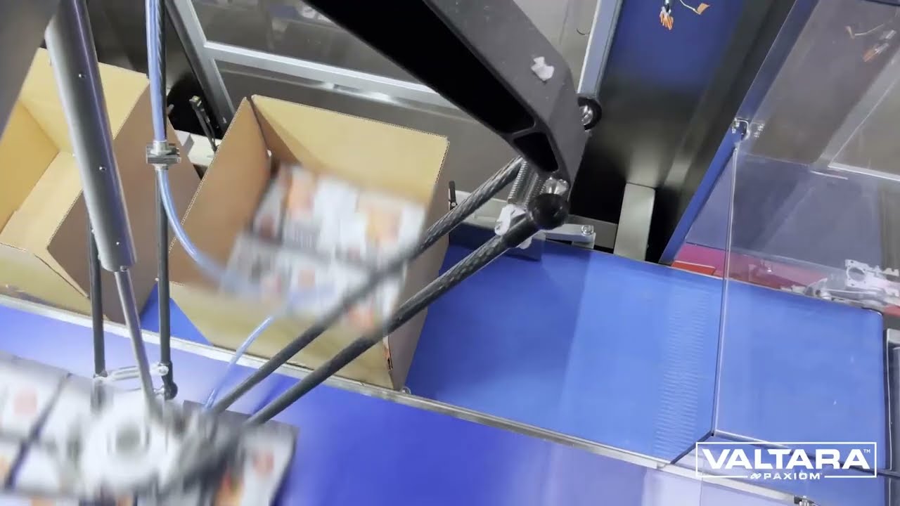 PKR Delta Robotic RSC Box Packer Packing Pouches in 2 x 2 Pattern