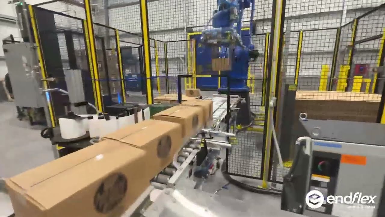 Z.ZAG Robotic Palletizer for Placing Pallet, Slip Sheet and Stacking Cases