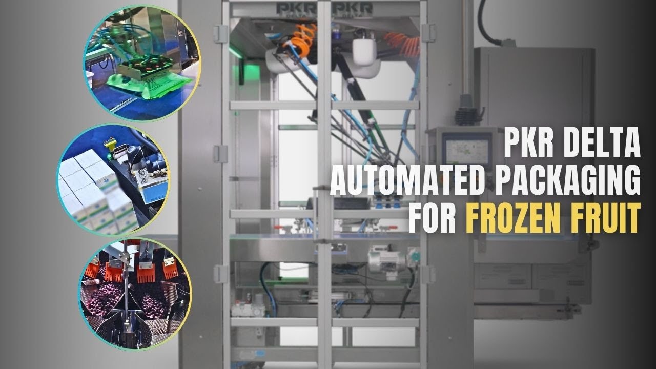 PKR Delta Turnkey Case Packing System for Bagged Frozen Fruit